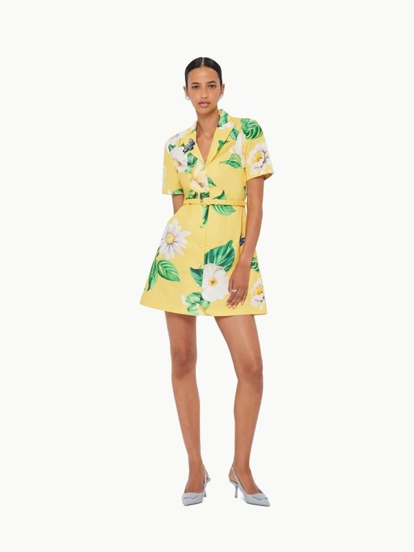 Leo Lin Briggite Mini Dress Joie Print in Sunshine | Michael Hayes Newport